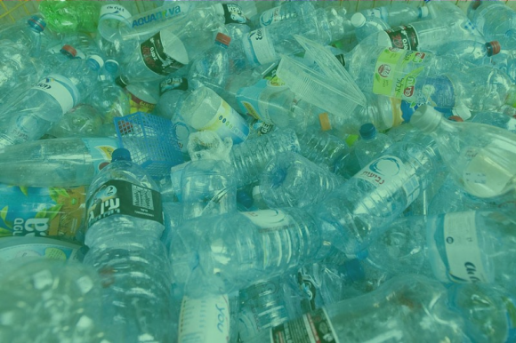 Home - GoGreen Republic